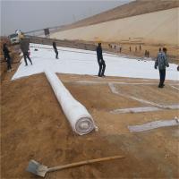 China Non-Woven Geotextile for Civil Constructions 100g/sqm-800g/sqm Certificate ISO9001 for sale