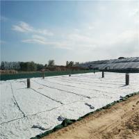 China PP/ PET Geotextile 100g/sqm-800g/sqm Short Fiber Non-Woven Geotextile for Construction for sale