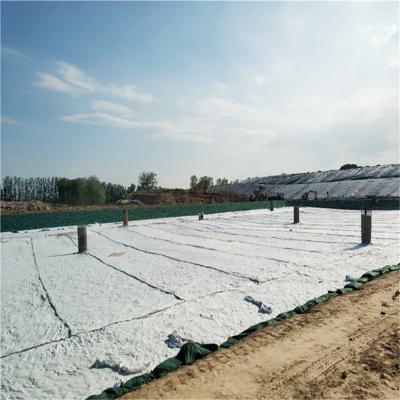 China PP/ PET Geotextile 100g/sqm-800g/sqm Short Fiber Non-Woven Geotextile for Construction for sale