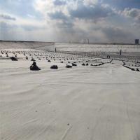 China PP/ PET Geotextile 100g/sqm-800g/sqm Short Fiber Non-Woven Geotextile for Construction for sale