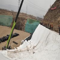 China PP/ PET Geotextile 100g/sqm-800g/sqm Short Fiber Non-Woven Geotextile for Construction for sale