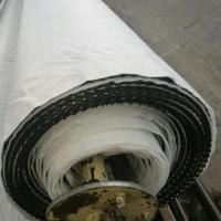China HDPE Mesh 3D Composite Drainage Geonet for Railways and Highways Other 4mm-8mm Tickness for sale