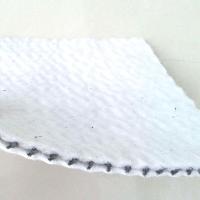 China Polyethylene Resin and Nonwoven Fabric 3D Composite Geonet for Optimal Water Control for sale