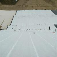 China Polyethylene Resin and Nonwoven Fabric 3D Composite Geonet for Optimal Water Control for sale