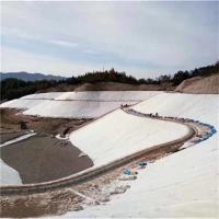 China Polyethylene Resin and Nonwoven Fabric 3D Composite Geonet for Optimal Water Control for sale