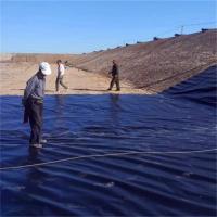 China Best HDPE Geomembrane Roll for Fish Liner Durable and Environmentally Friendly for sale