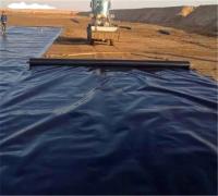 China Best HDPE Geomembrane Roll for Fish Liner Durable and Environmentally Friendly for sale
