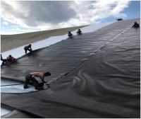China Best HDPE Geomembrane Roll for Fish Liner Durable and Environmentally Friendly for sale
