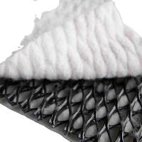 China Geomembranes Composite Drainage Net for Industrial Design Applications for sale