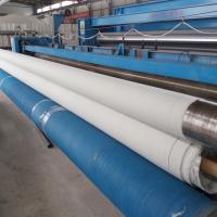 China PP PET Geotextile for Landfill Project Non Woven Geo Fabric Needle Punched Sample Free for sale