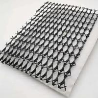 China Industrial Design Style Composite Drainage Geonet for Tunnel Construction Projects for sale