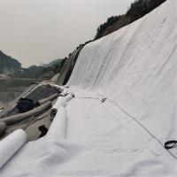 China PP PET Geotextile for Landfill Project Non Woven Geo Fabric Needle Punched Sample Free for sale