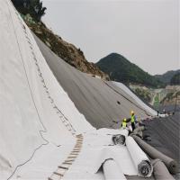China 100g/sqm to 800g/sqm Geotextile Fabric for Roads and Railways Polyester Non-Woven Fabric for sale