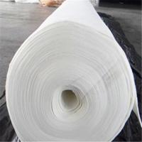 China 100g/sqm to 800g/sqm Geotextile Fabric for Roads and Railways Polyester Non-Woven Fabric for sale