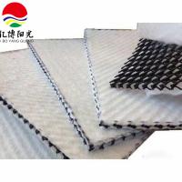 China Chinese Design Style High Drainage HDPE 3D Geonet Geocomposite Drainage Network for sale