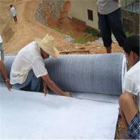 China Long or Short Finbers Polypropylene Needdle Punched Nonwoven Geotextile and for Outdoor for sale