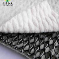 China CE/ISO Approved HDPE Composite Drainage Geonet 3D Network Geomat for Drainage Systems for sale