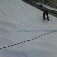 China 3D HDPE Composite Drainage Geonet with Nonwoven Geotextile Thickness 0.8mm-2.0mm for sale