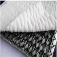 China 3D HDPE Composite Drainage Geonet with Nonwoven Geotextile Thickness 0.8mm-2.0mm for sale