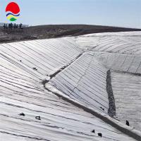 China Road 400g 600g Reinforced Geotextile Fabric with 100% Pet pp Needle Punched Non Woven for sale