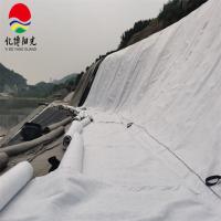 China Road 400g 600g Reinforced Geotextile Fabric with 100% Pet pp Needle Punched Non Woven for sale