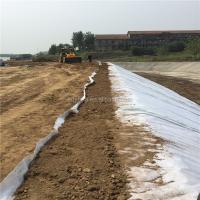 China Road Repair 300g 400g 600g Polyester Long Fiber Needle Punched Non Woven Geotextile for sale