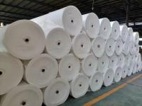 China Road Repair 300g 400g 600g Polyester Long Fiber Needle Punched Non Woven Geotextile for sale