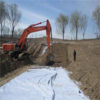 China 50m-100m/roll Non-woven Fabric Composite Geomembrane for Traffic Tunnel Reinforcement for sale