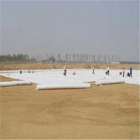 China 50m-100m/roll Non-woven Fabric Composite Geomembrane for Traffic Tunnel Reinforcement for sale