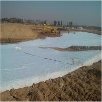 China 50m-100m/roll Non-woven Fabric Composite Geomembrane for Traffic Tunnel Reinforcement for sale