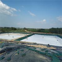 China Heavy-duty 100-800g/sqm PP Needle-punched Geotextile for Road and Railway Projects for sale