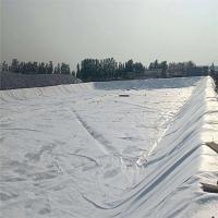 China 200g/400g Nonwoven Geobag Geotextile Grow Tube Sand Geo Bag for Earthwork Width 1-6m for sale