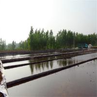 China Waterproof HDPE/LLDPE/EVA Geomembrane Sheet 0.75mm-3mm Thickness for Waterproofing for sale