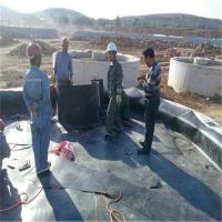 China Chemical Resistant Hdpe Geomembrane for Fish Farm Pond Liner for sale