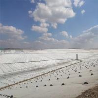 China 300g 400g Non Woven Geotextile For Road Landfill Needle Punched for Landfill Projects for sale