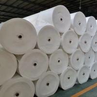 China 300g 400g Non Woven Geotextile For Road Landfill Needle Punched for Landfill Projects for sale