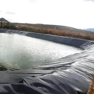 China Shrimp Fish Farm Pond Liner HDPE Geomembrane 0.5mm 0.75mm 1mm Water Resistant Design for sale