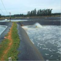 China Shrimp Fish Farm Pond Liner HDPE Geomembrane 0.5mm 0.75mm 1mm Water Resistant Design for sale
