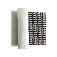 China Waterproof Storage Drainage Isolation HDPE 3D Composite Geonet within 50m Length for sale