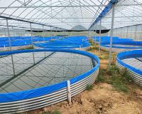 China 1mm HDPE Geomembrane for National Standard Dam Liner 0.5mm Thickness Sample Freely for sale