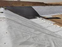 China Polyester Fiber Long Fiber Needle Punched Non Woven Geotextile with Gram Weight 100g-700g for sale