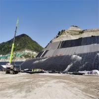 China Store Sales Promotion HDPE Geomembrane Liner for Plastic Protection Requirements for sale