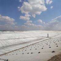 China Geotextile Sheet for Environmental Protection and Anti-filtration Isolation Solutions for sale
