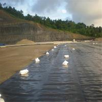 China Contemporary Design HDPE Geomembrane Waterproof for Biogas Digester Earthwork Products for sale
