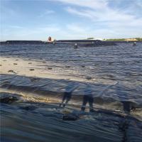 China Contemporary Design HDPE Geomembrane Waterproof for Biogas Digester Earthwork Products for sale
