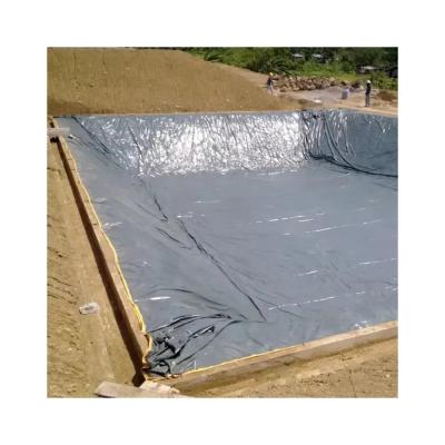 China Geomembranes Pond Liner 0.5mm-1.5mm HDPE Waterproof Plastic Liner for Fish Farming for sale
