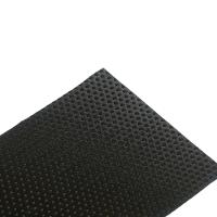 China Landfill Treatment Engineering Made Easy with Double-Sided Column Point Geomembrane for sale