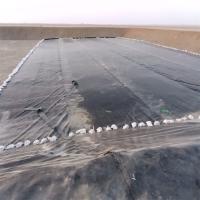 China 0.75mm 1mm 1.5mm Hdpe Geomembrane Fish Farm Pond Liner for Water Conservation Liner for sale
