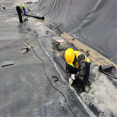 China Swimming Pool Liner HDPE LDPE Dam Liner for Aquaculture Waterproofing 0.2mm-3mm Thickness for sale