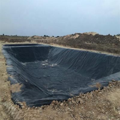 China 0.2mm-3mm Thickness GM13 Geomembrane LDPE HDPE for Fish Pond Liner in 1m-10m Width for sale